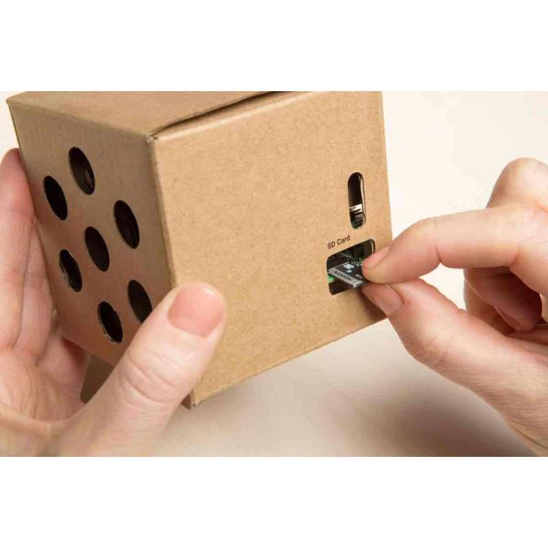 The AIY Voice Kit (Google AIY) language processor, connect it to the ...