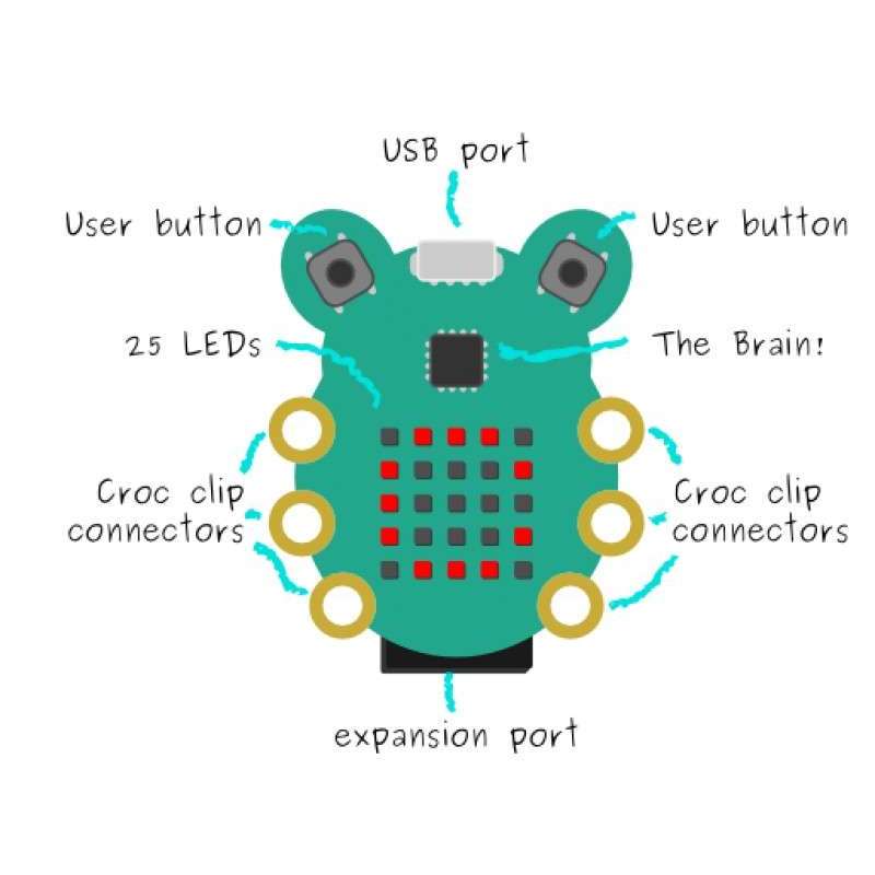 CODEBUG PROGRAMMABLE WEARABLE BOARD